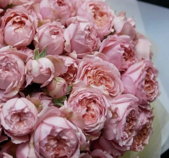 Julietta roses bouquet - bloomflowers.pl
