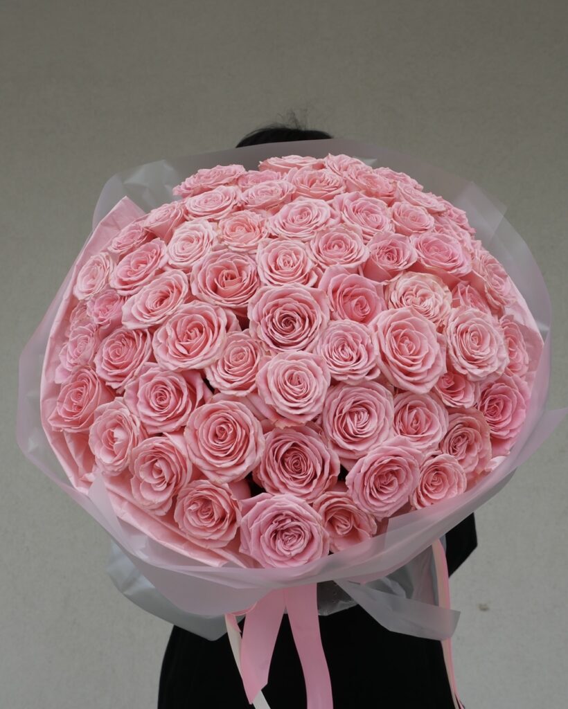 Róża Sophia Loren - bloomflowers.pl