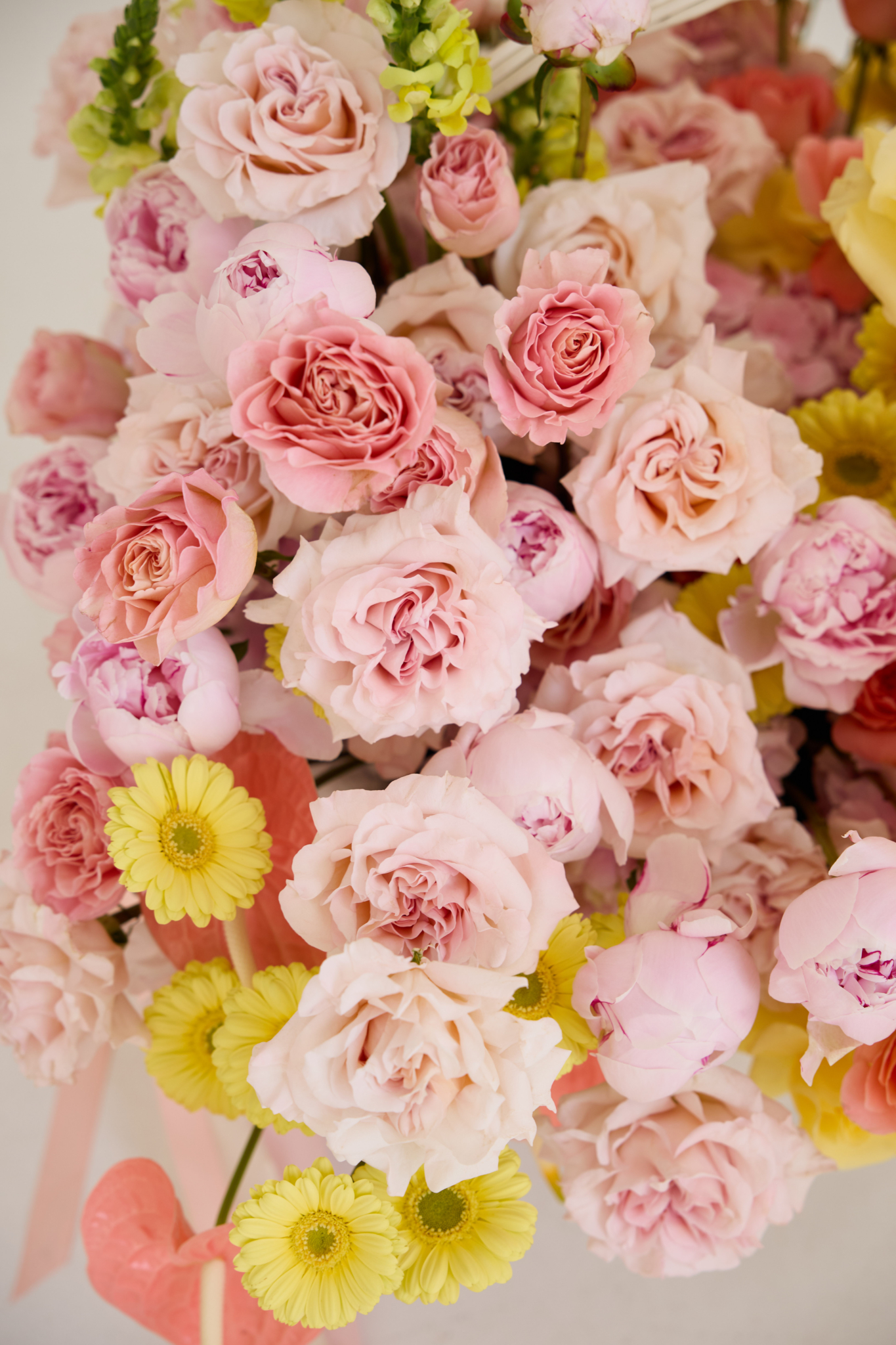 Bloomflowers: Same Day Flower Delivery | Order Flowers Warsaw